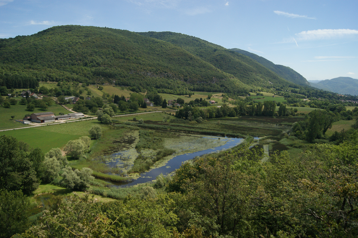 Lac de Millieu et marais du Vernay - Conservatoire d'espaces naturels ...