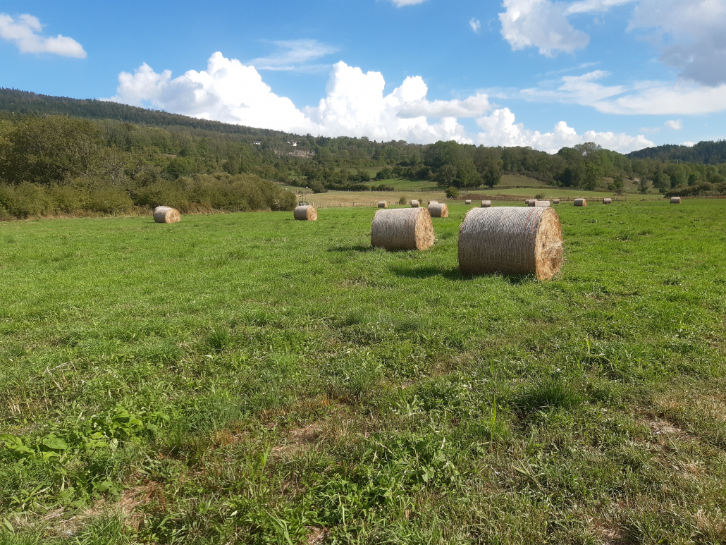 Fauche exceptionnelle au marais de Vaux ! - Conservatoire d'espaces ...